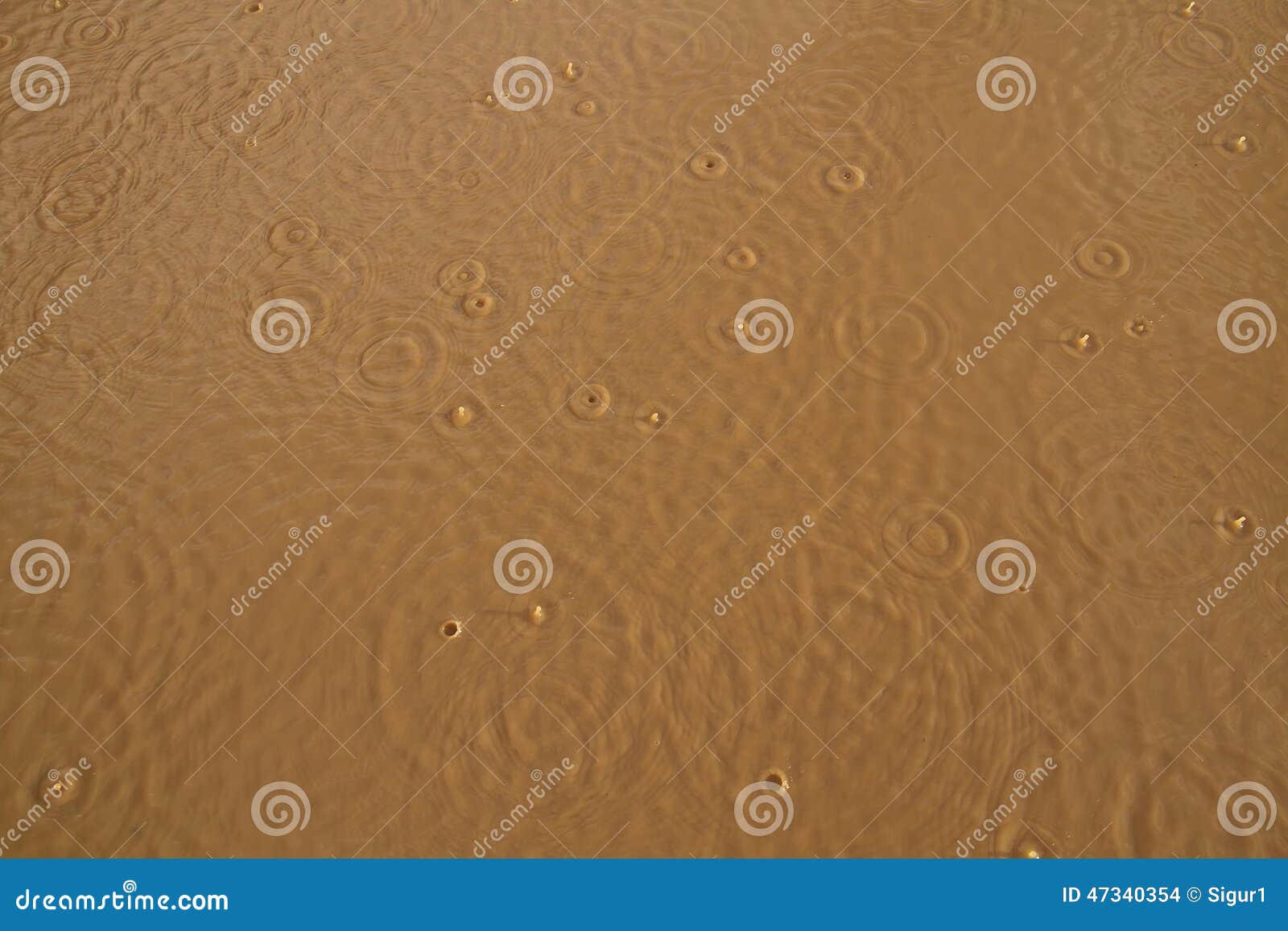 Raining on a Puddle of Muddy Water Stock Photo - Image of sadness ...