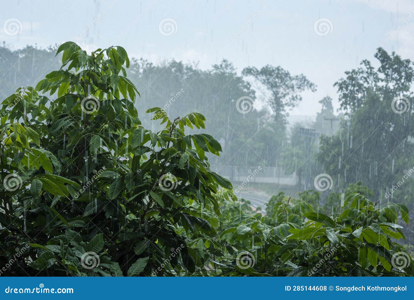 Raining stock photo. Image of raining, summer, water - 285144608
