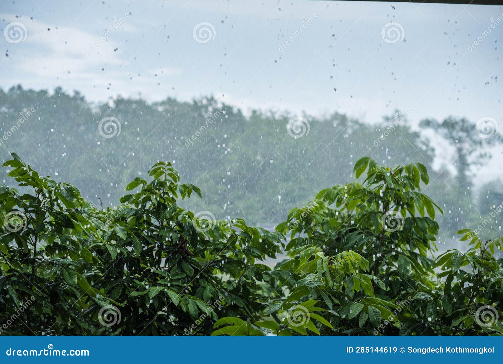 Raining stock image. Image of dark, rainy, raining, falling - 285144619