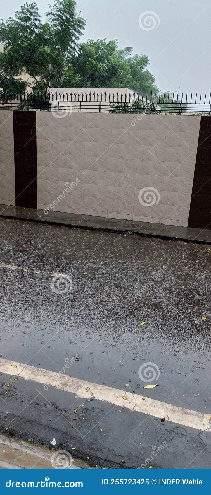 Raining at Road with Trees on Wall and Clouds View. Stock Image - Image ...