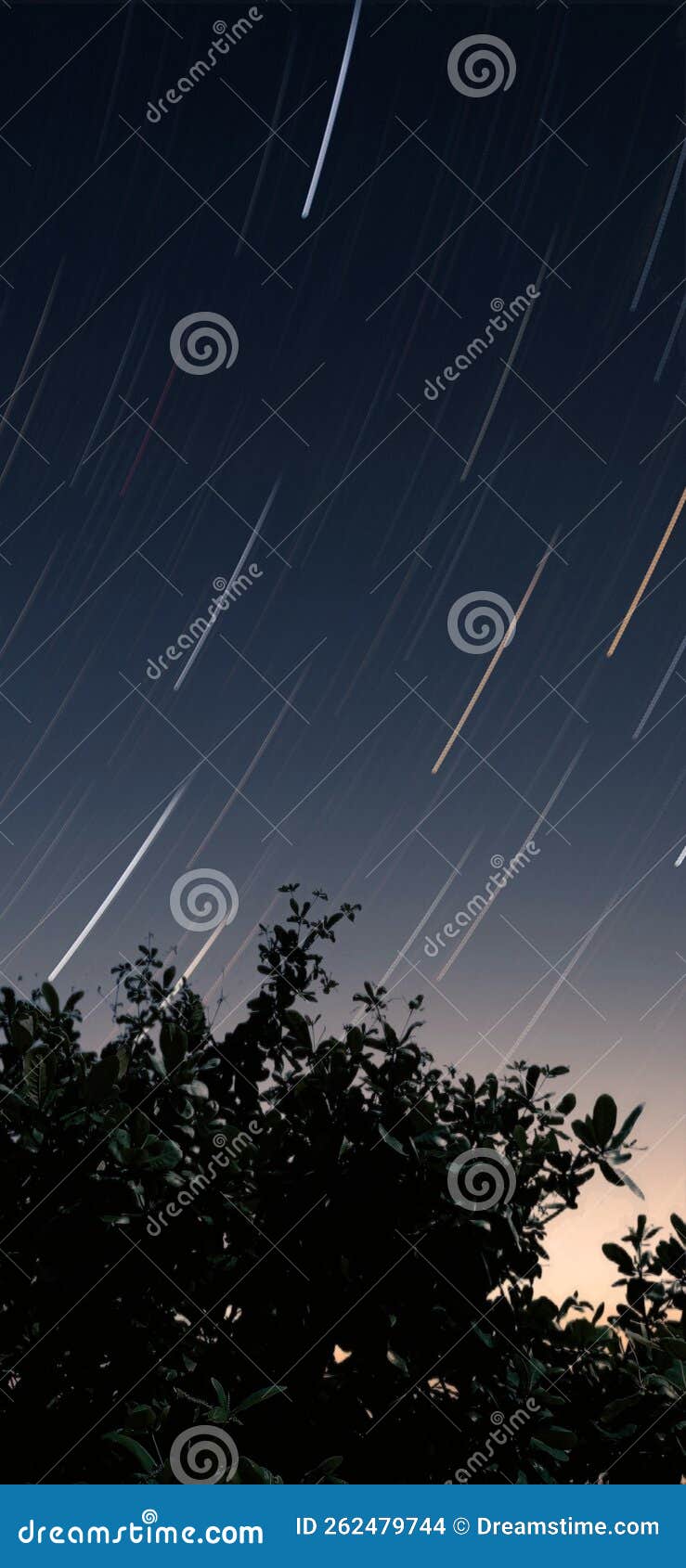 Raining Stars Under the Tree Space Stock Photo - Image of space, stars ...