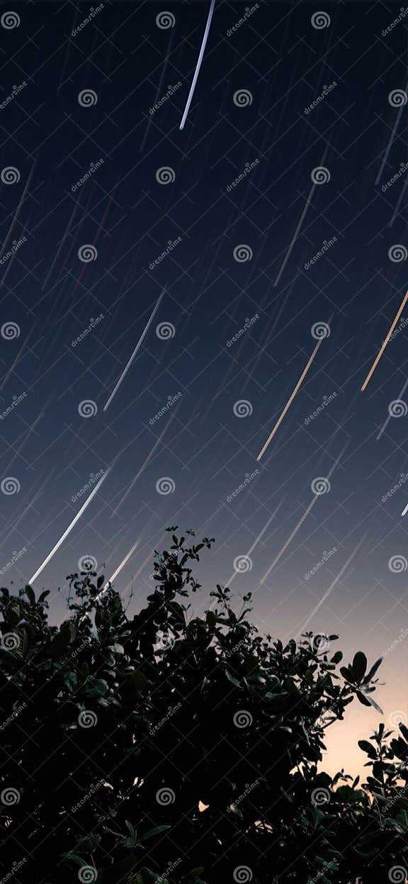 Raining Stars Under the Tree Space Stock Photo - Image of space, stars ...