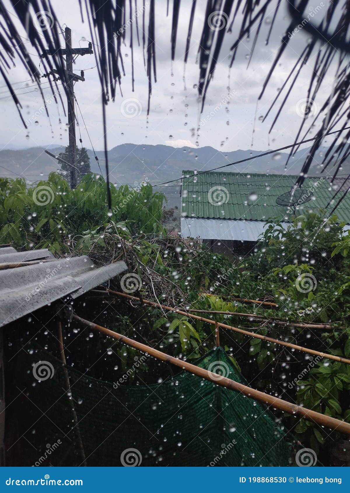 Raining and sunny stock photo. Image of thanks, sunny - 198868530