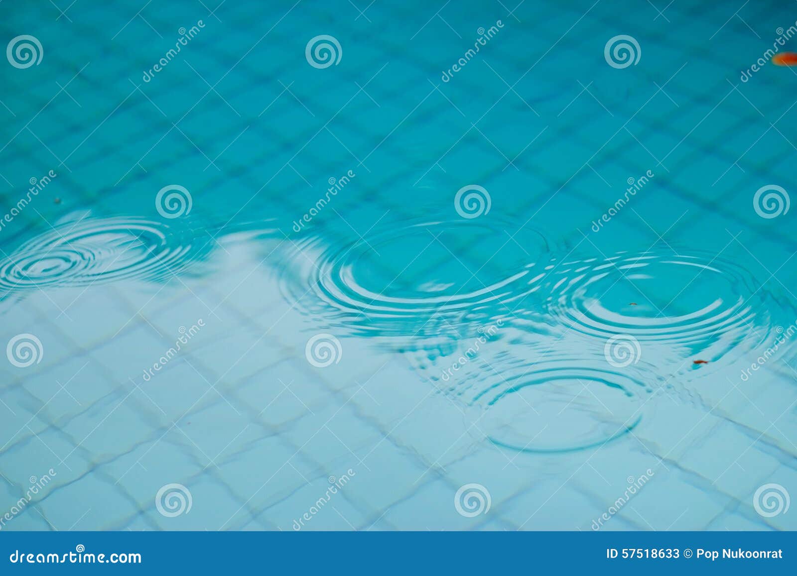 Raining in the Swimming Pool Stock Image - Image of autumn, background ...