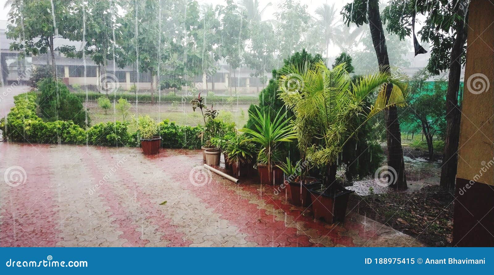 It is raining today stock image. Image of cool, awesome - 188975415