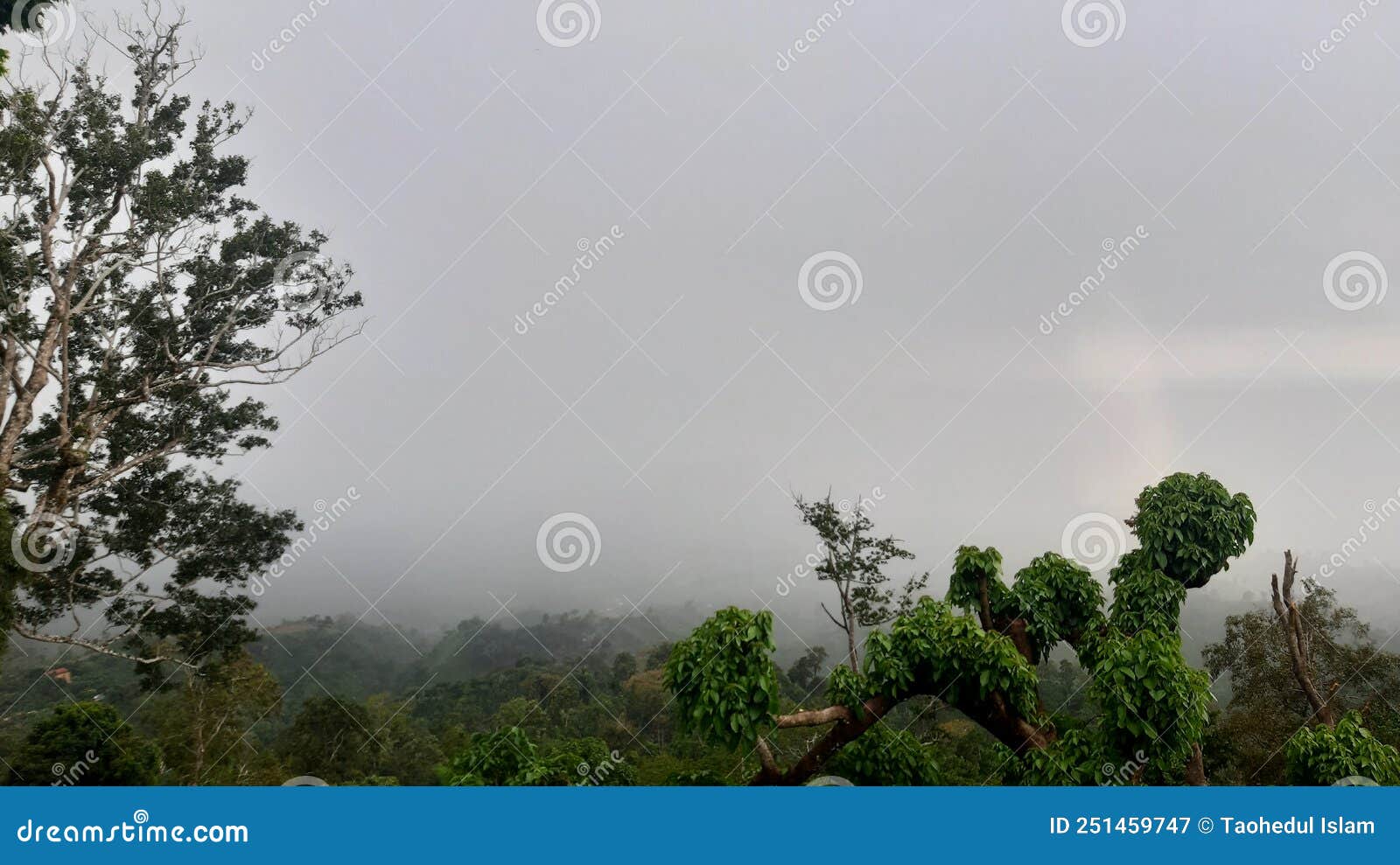 Raining View from Top of Hill Stock Image - Image of view, forest ...