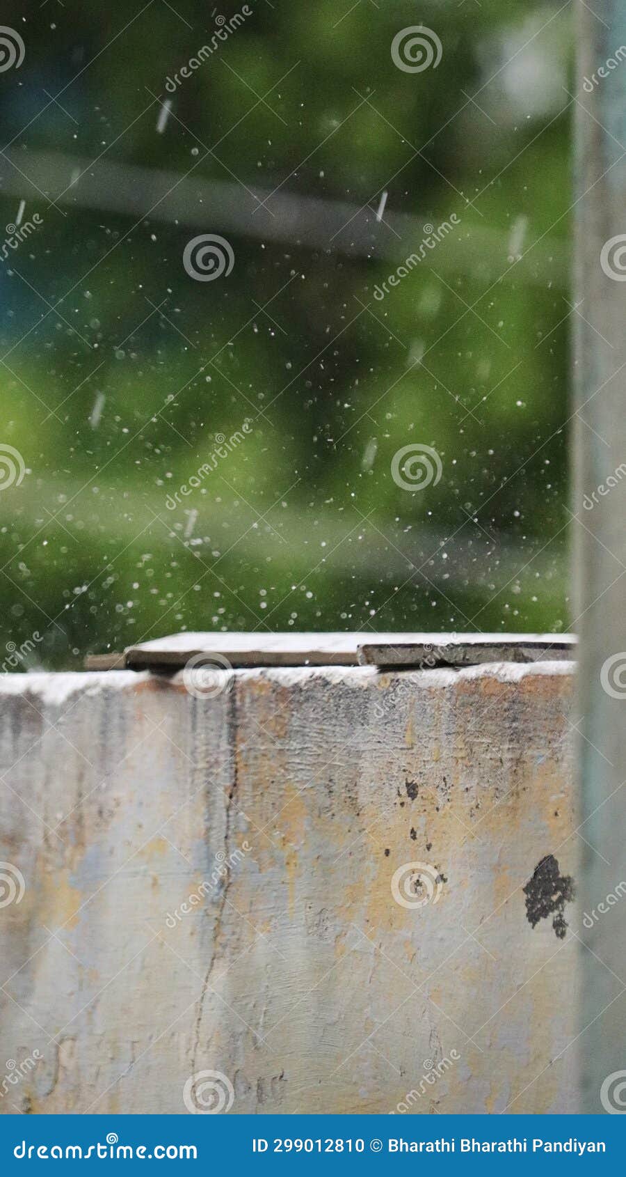 Raining View from the Window, Rain , Nature , Stock Photo - Image of ...