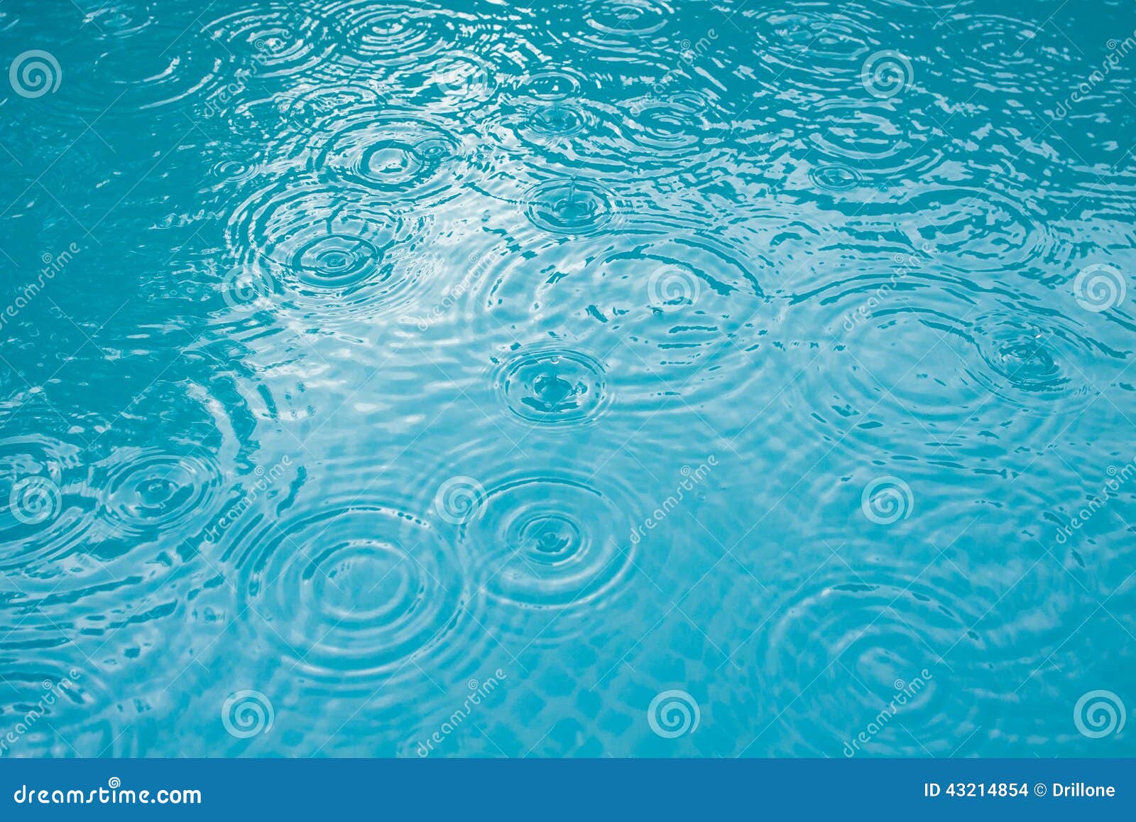 Raining Water Drops stock photo. Image of ripples, drops - 43214854