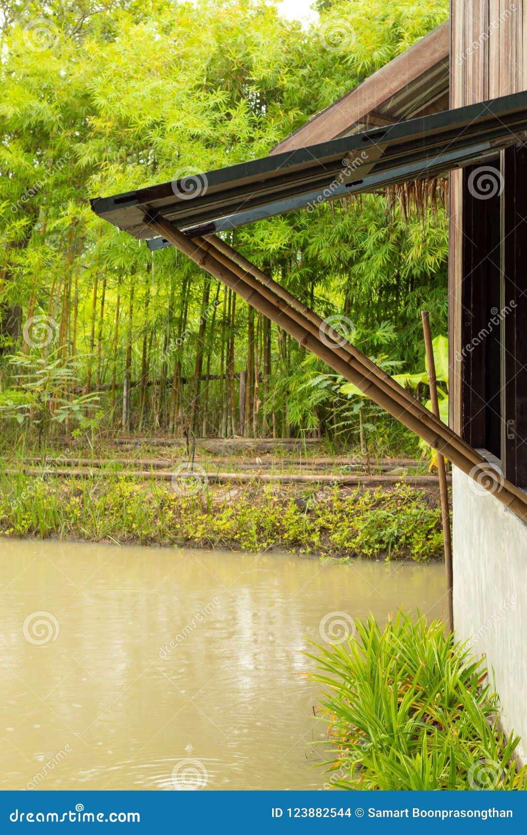 Raining Window Open, Using Bamboo Poles To Prop Flows into the P Stock ...