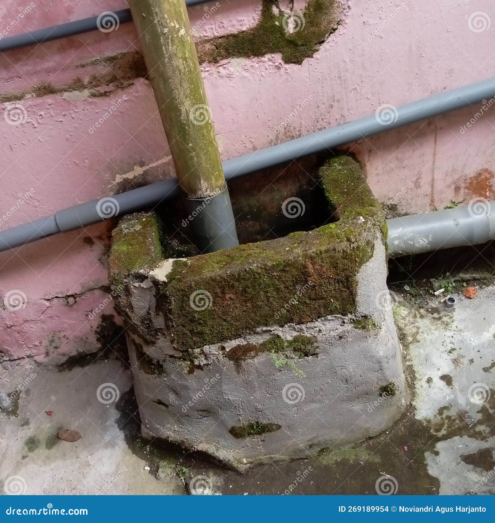 Rainwater Drainage Pipes and Boxes Overgrown with Moss Stock Photo ...