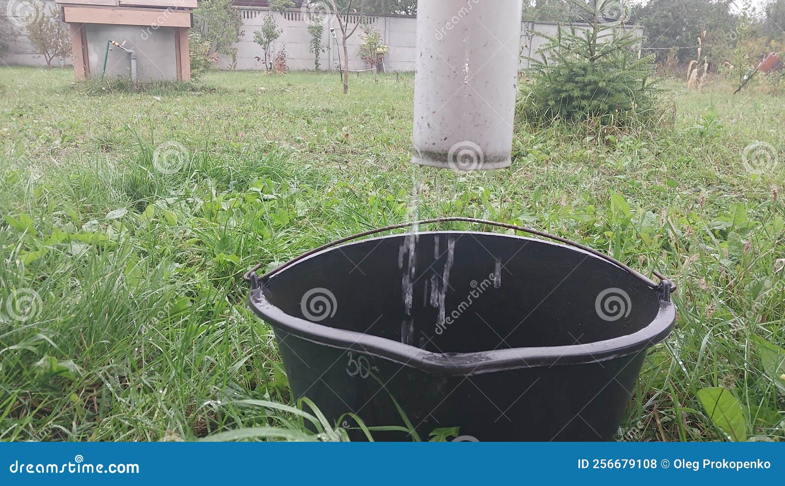 Rainwater Dripping from a Drain into a Bucket Stock Footage - Video of ...