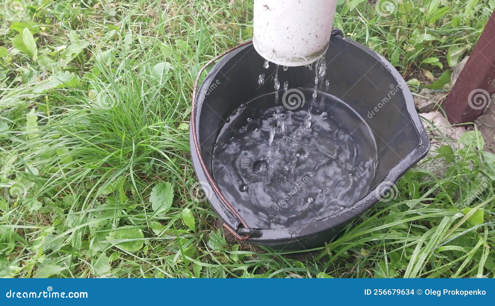 Rainwater Dripping from a Drain into a Bucket Stock Footage - Video of ...