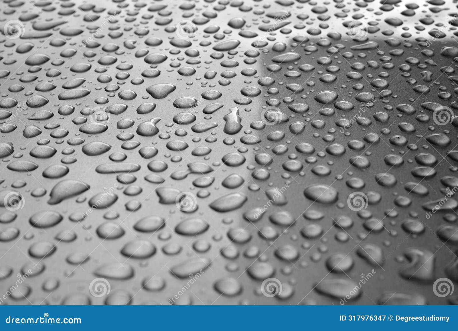 Rainwater Droplets on Shiny Metallic Chrome Silver Background Stock ...