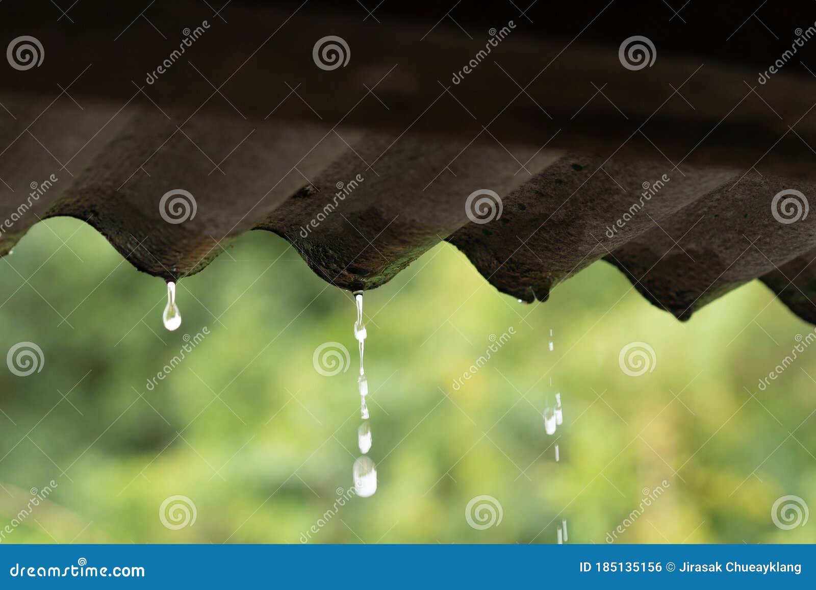 Rainwater Drops Down from the Roof Stock Photo - Image of downpour ...