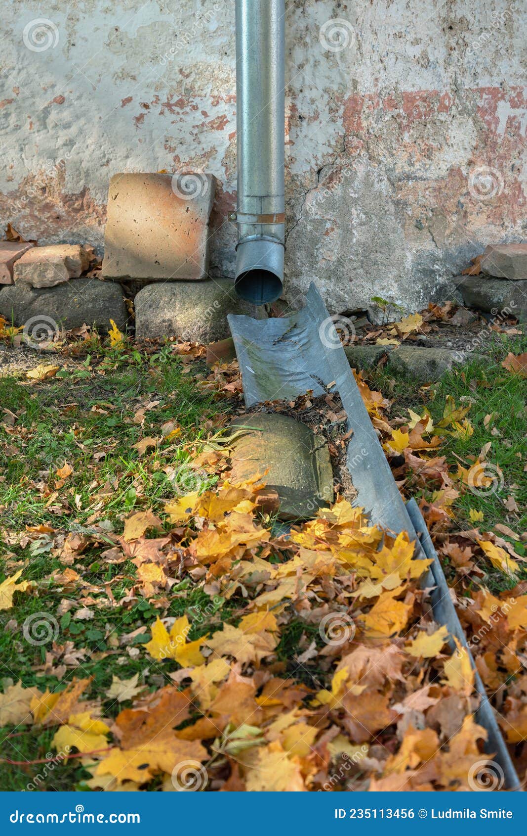 Rainwater Gutter of the House Stock Photo - Image of pipe, leaves ...