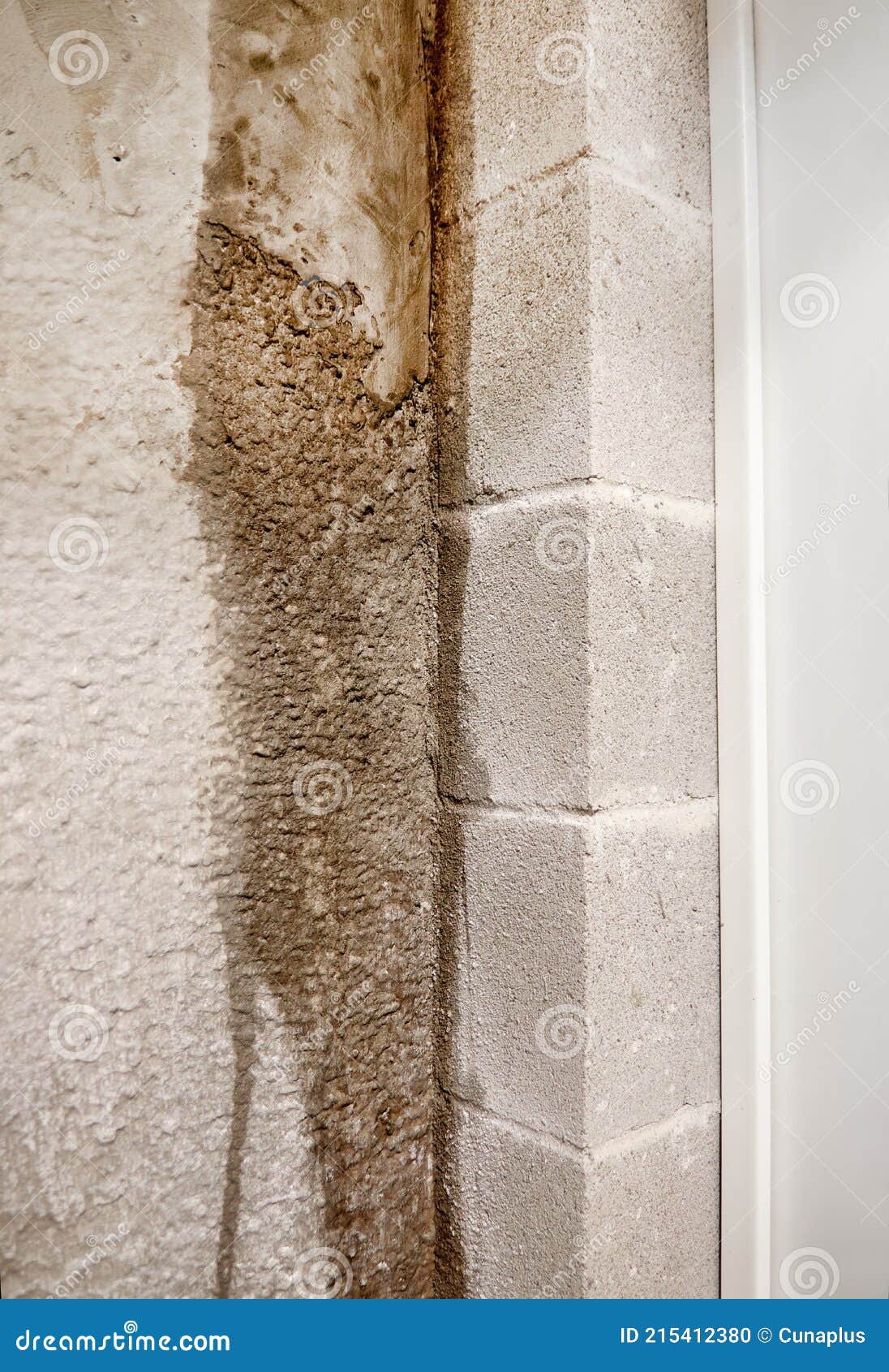 Humidity in my building stock photo. Image of indoor - 215412380