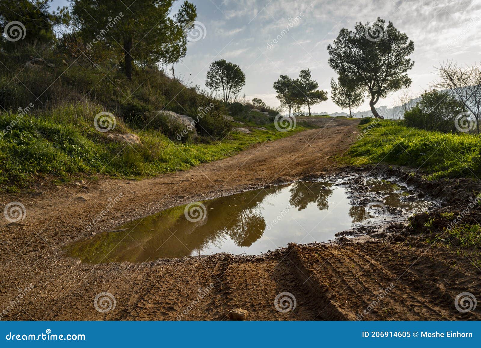 A Rainwater Puddle on a Natural Path Stock Image - Image of puddle ...