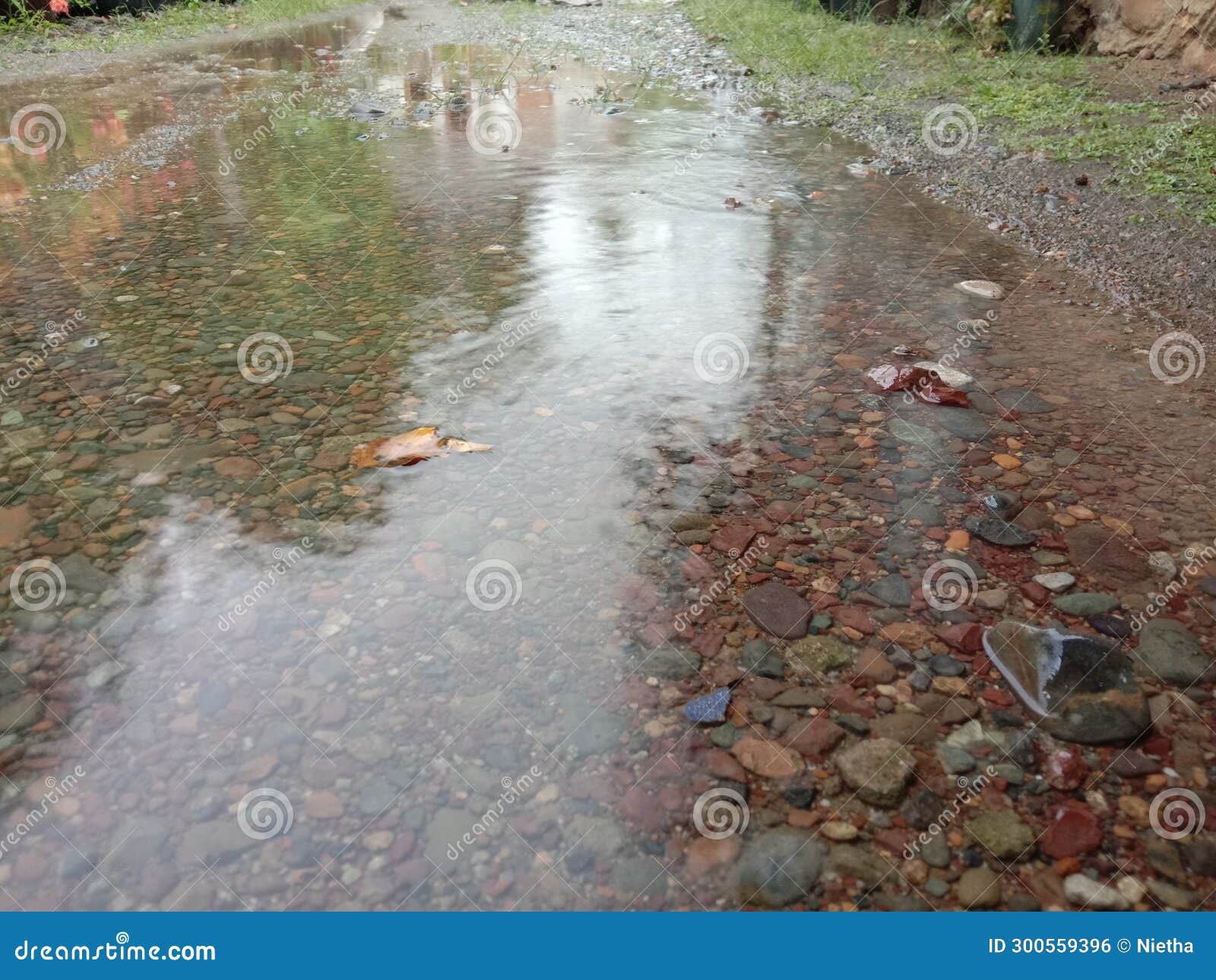 Rainwater Puddles Behind The House Stock Image | CartoonDealer.com ...