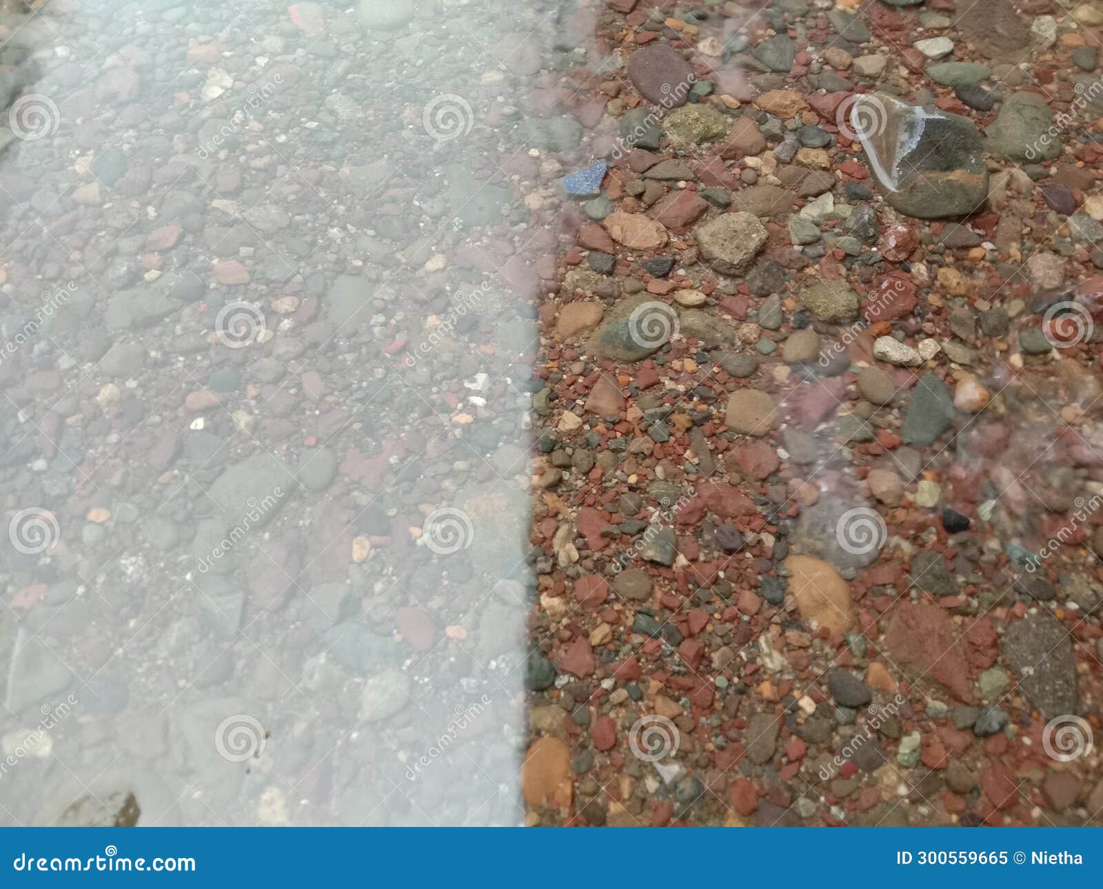 Rainwater Puddles Behind The House Stock Image | CartoonDealer.com ...