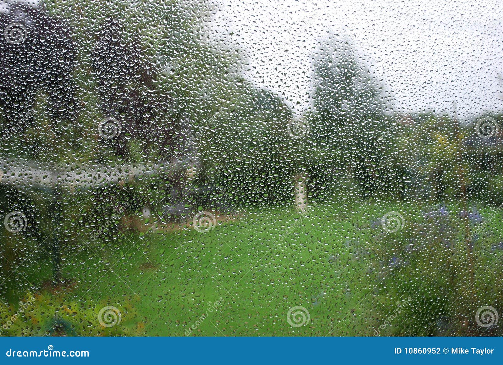 Rainy Day stock photo. Image of water, weather, environment - 10860952