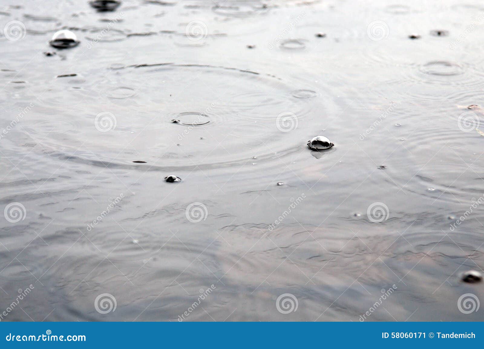 Rainy Day. Bubbles on the Water Surface Stock Image - Image of rain ...