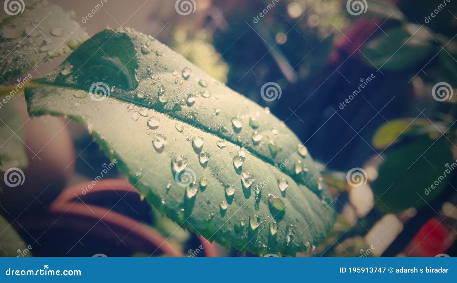 Rainy day cold weather stock image. Image of weather - 195913747
