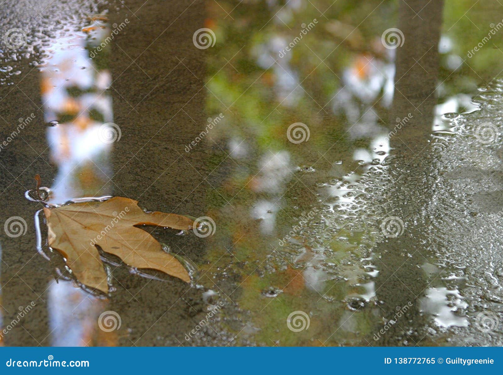 Rainy Day Leaf in Puddle stock image. Image of autumn - 138772765