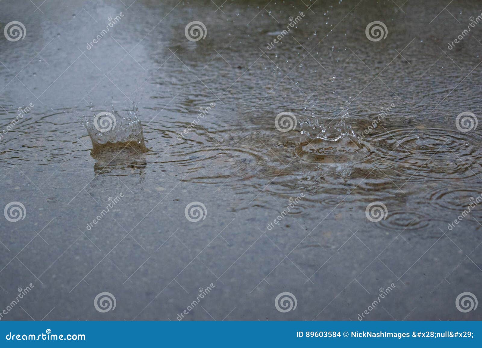 Rainy Day stock photo. Image of puddle, rain, pavement - 89603584