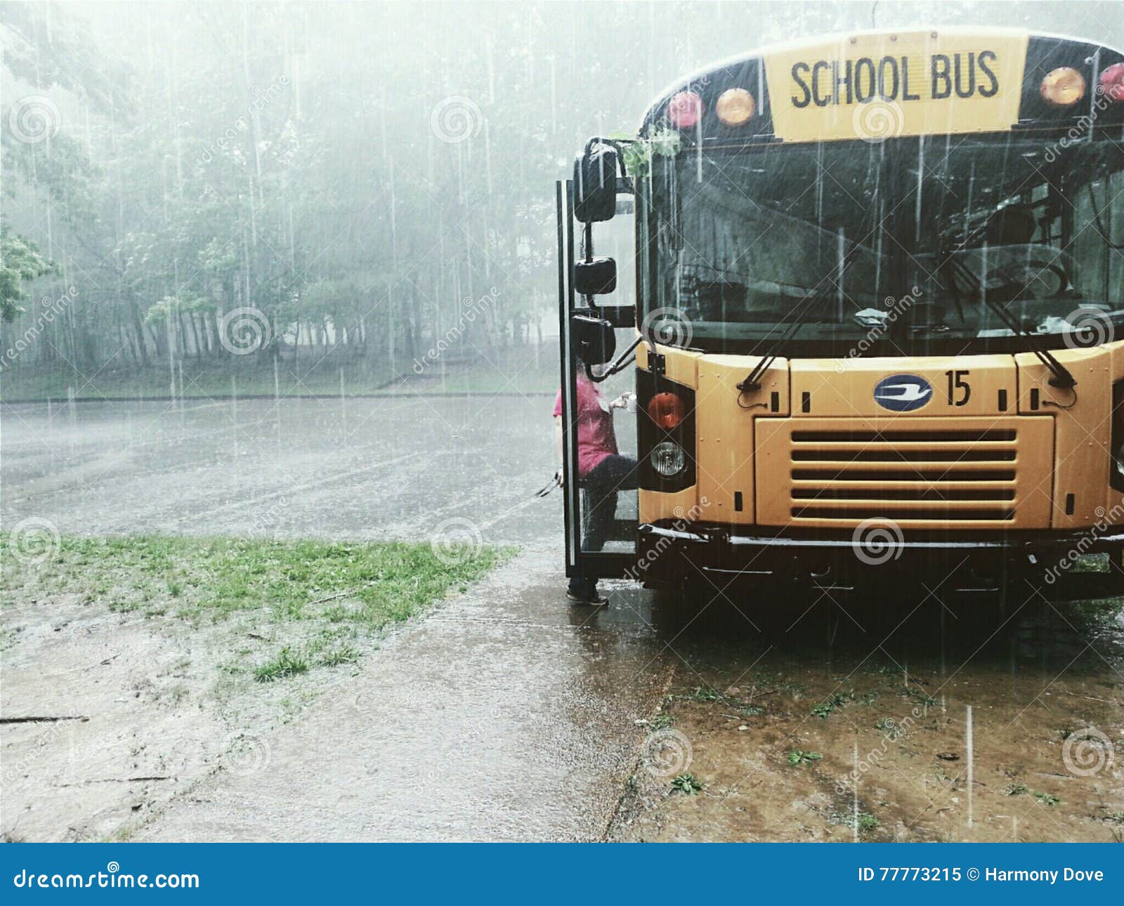 Snow School Bus Rain