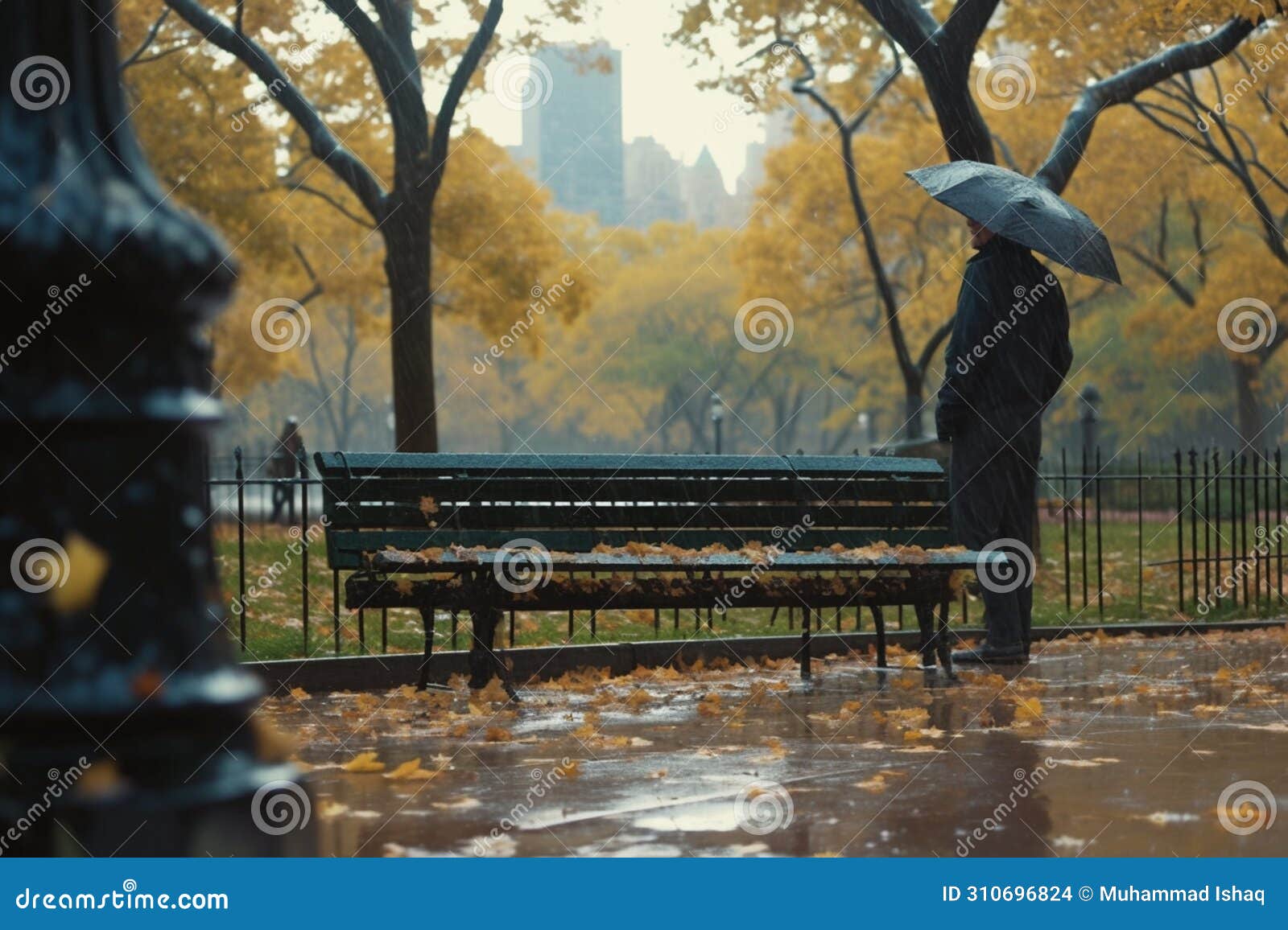 Rainy Day Stroll a Distant Figure Approaching a Central Park Bench ...