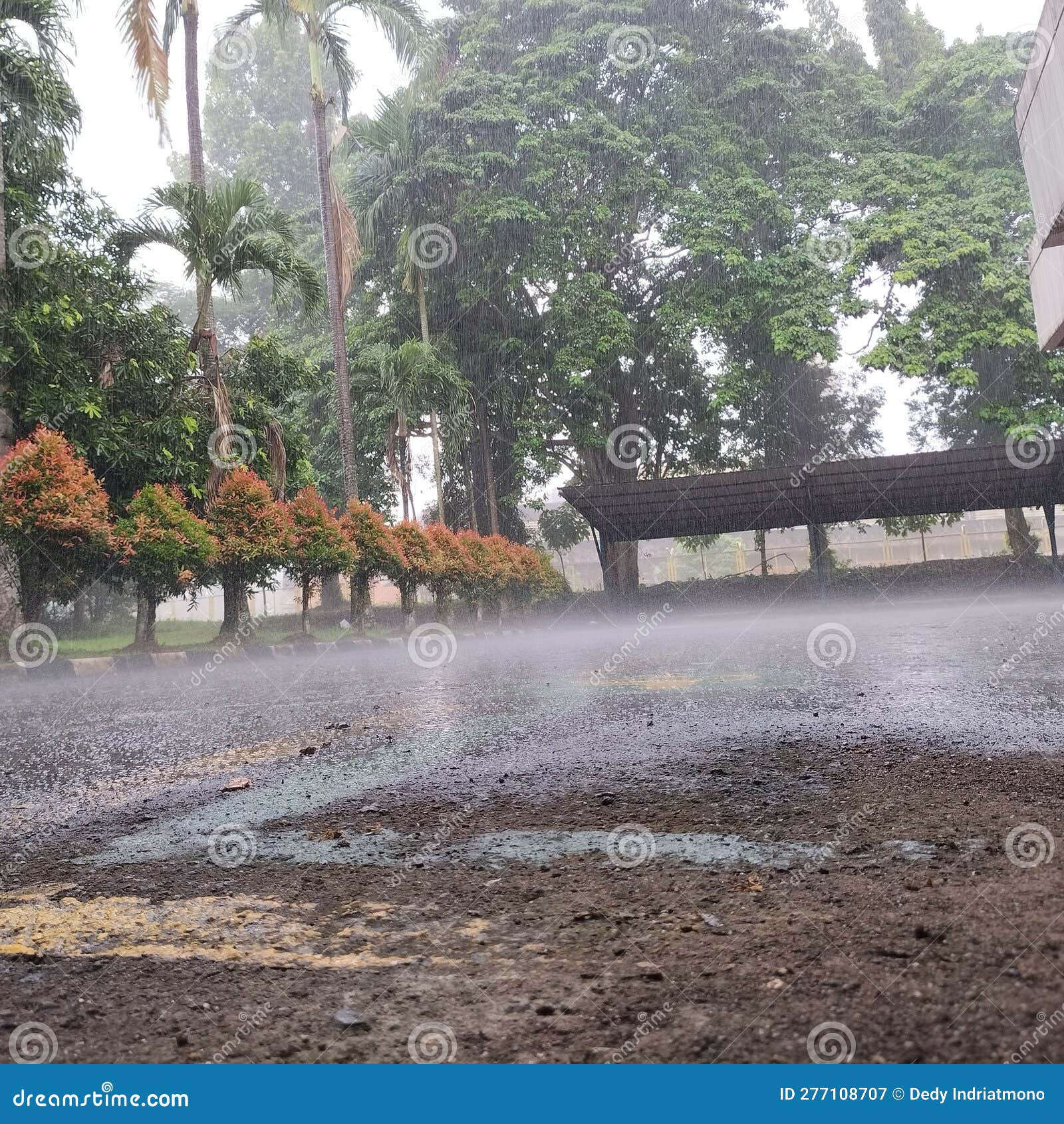 Rainy day on suburban area stock image. Image of rain - 277108707