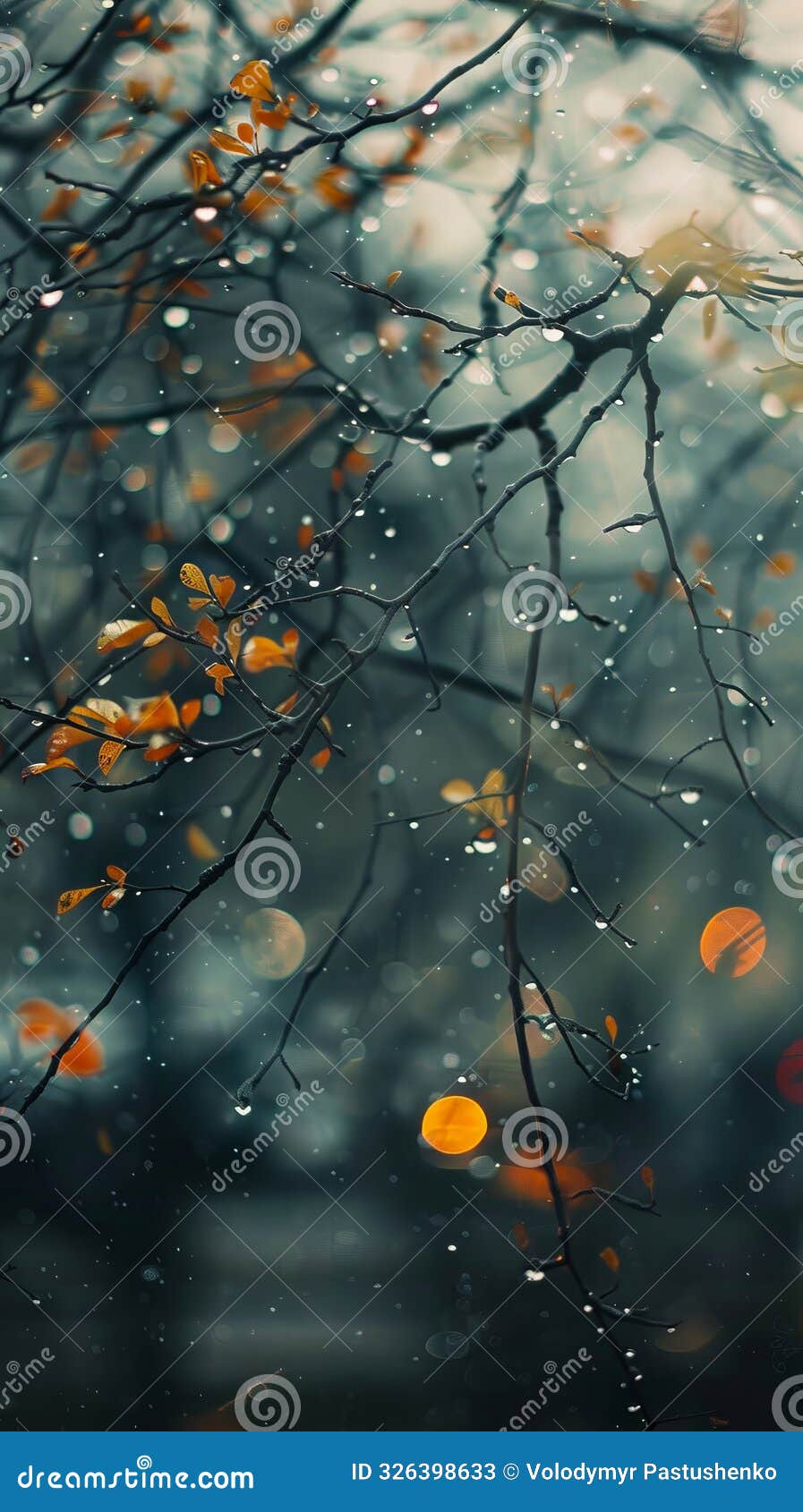 A Rainy Day with Trees and Leaves Stock Image - Image of tree, rain: 326398633