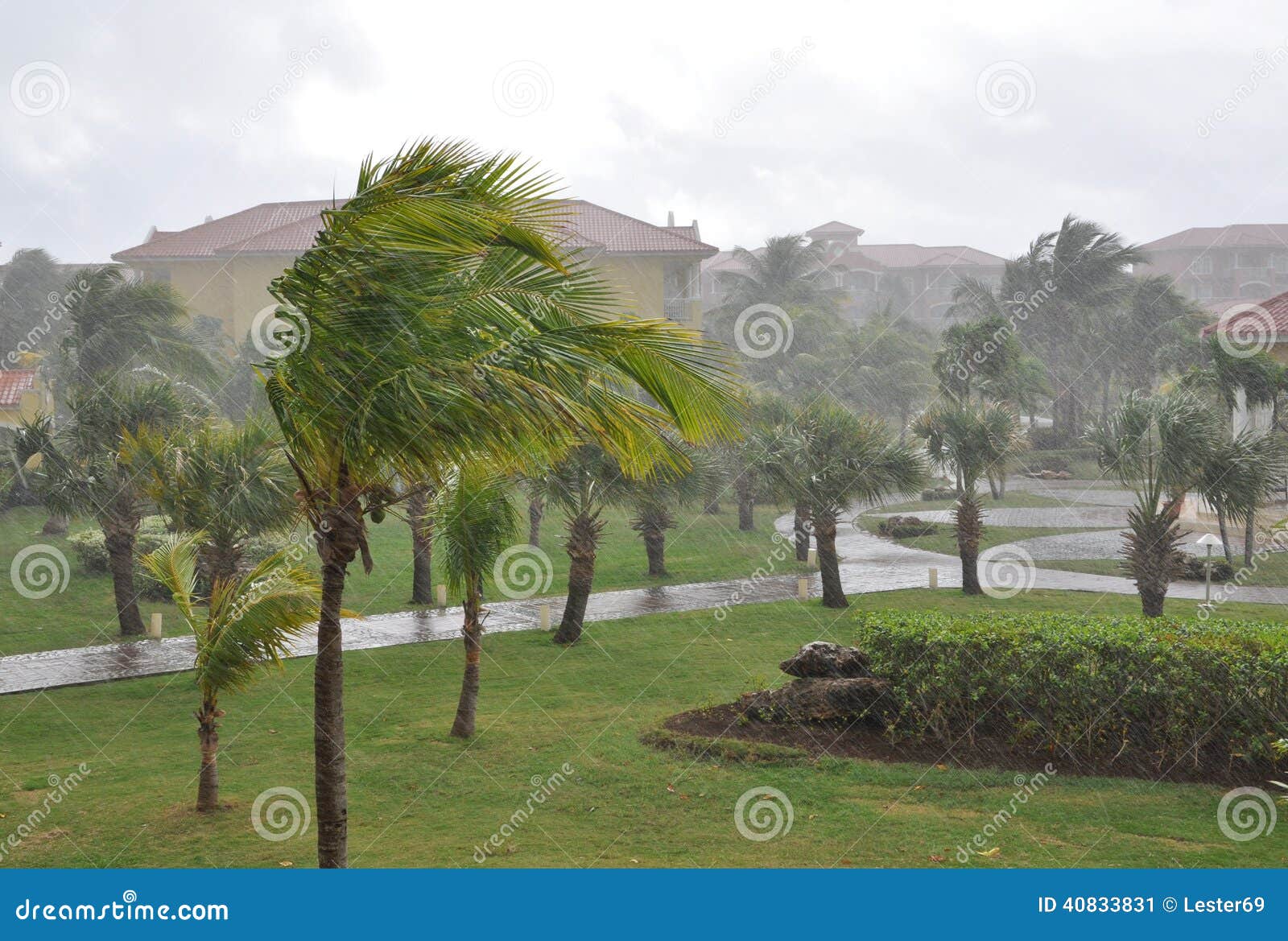 Rainy day stock image. Image of condition, branch, dramatic - 40833831