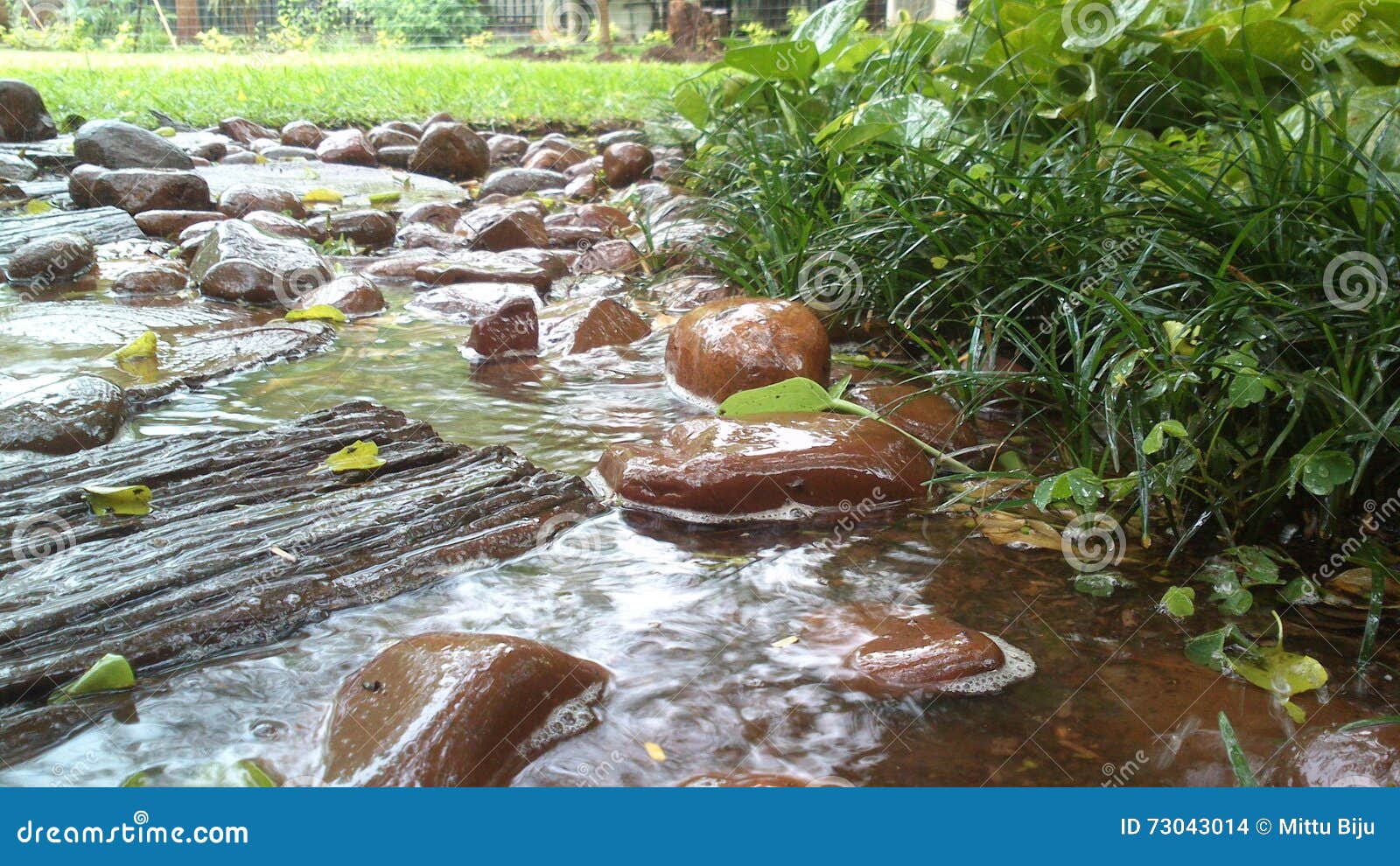 Rainy day stock photo. Image of wooden, wendy, green - 73043014