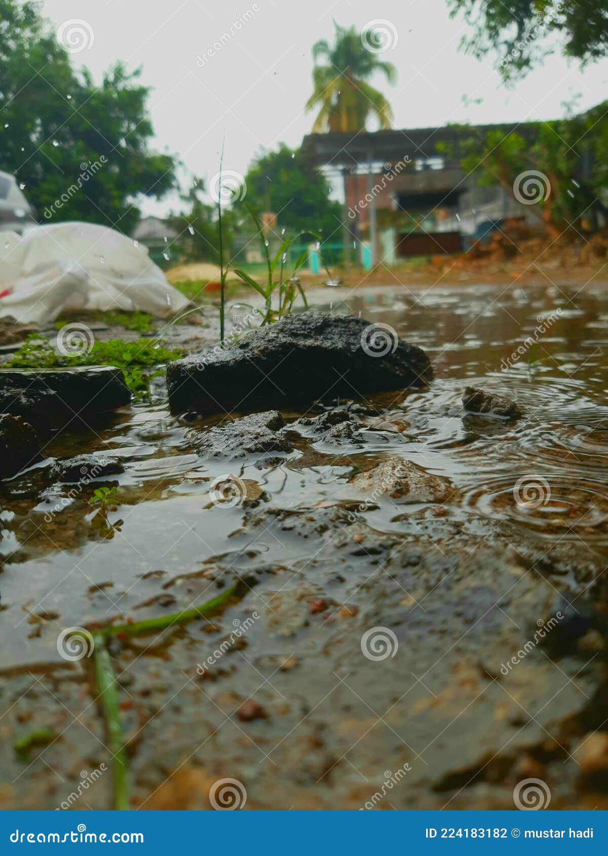 Day Water Stone Grass Tree Water Splash Gravel Stock Photos - Free ...