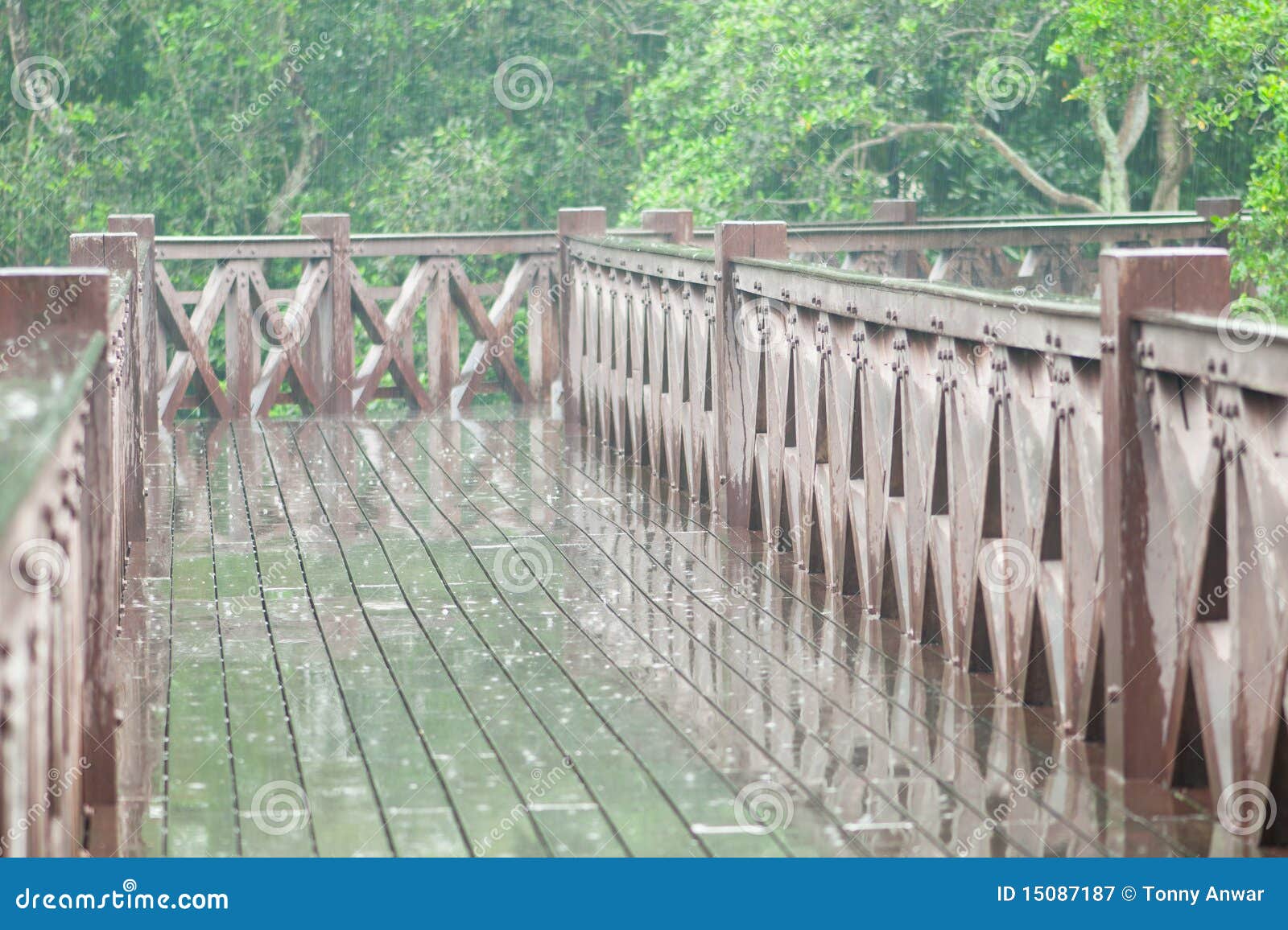Rainy Day and Wooden Bridge Stock Image - Image of crossing ...