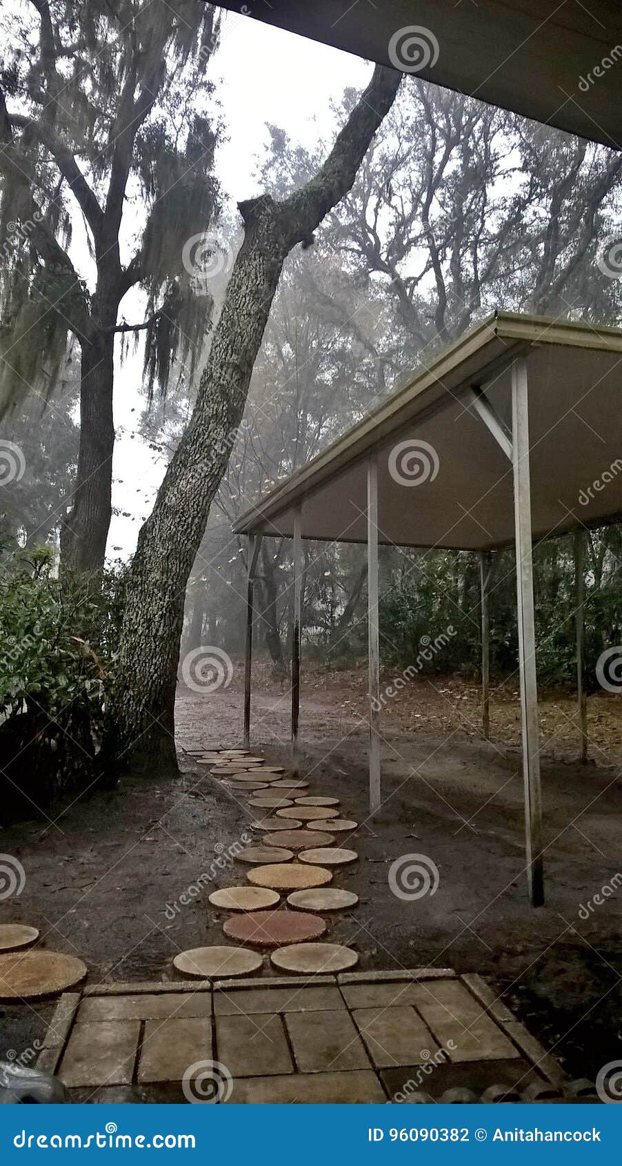 Rainy pathways stock photo. Image of pathways, nature - 96090382