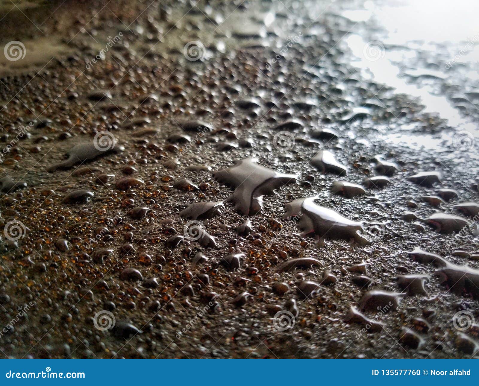 Rainy drops stock photo. Image of rainydrops, raindrops - 135577760