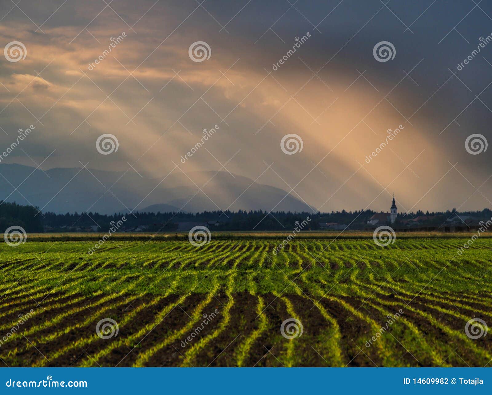 Rainy field stock photo. Image of mountain, village, organic - 14609982
