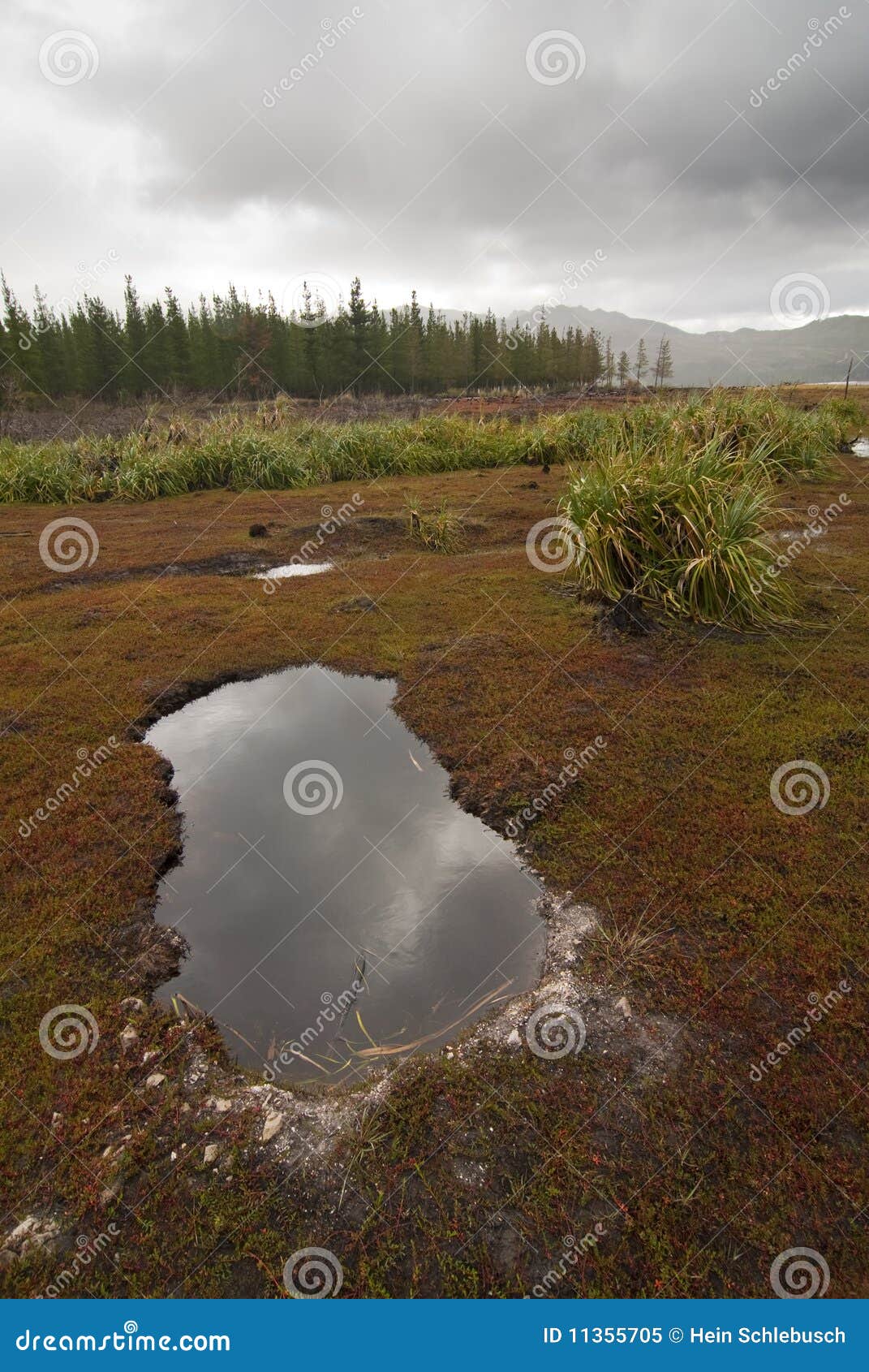 Rainy Grassland Landscape with a Puddle Stock Image - Image of orange ...