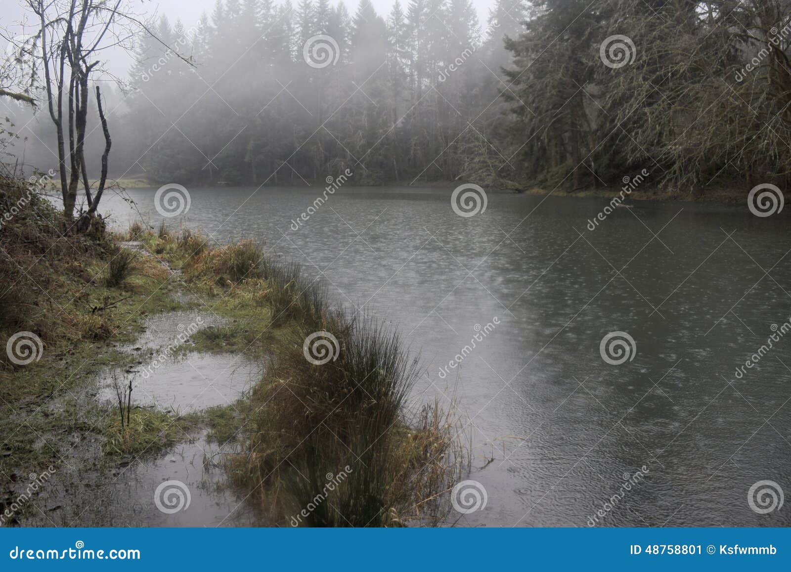 Rainy lake stock image. Image of soggy, damp, rainy, puddles - 48758801