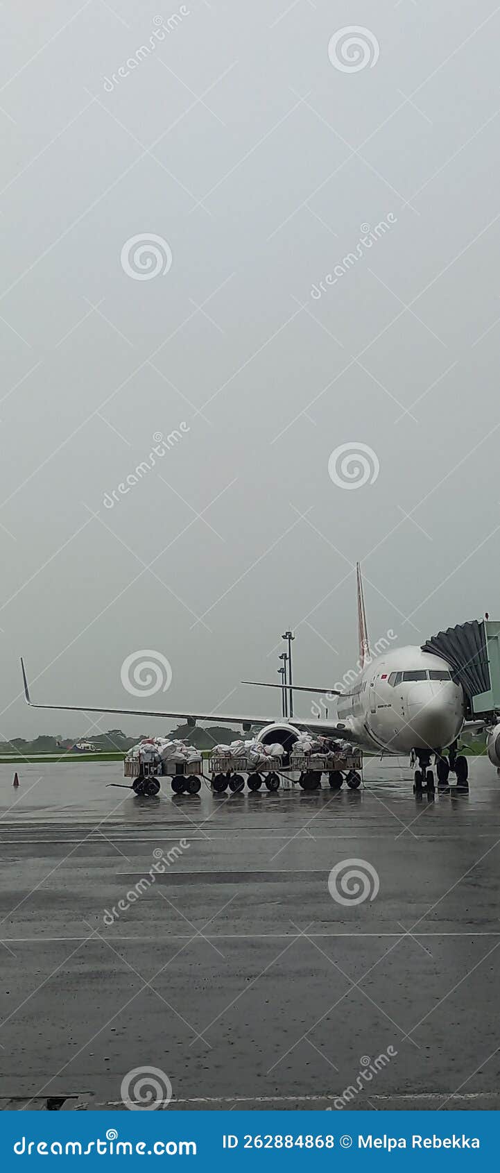 Loading Or Unloading Of A Bunker Tanker Editorial Photo | CartoonDealer ...