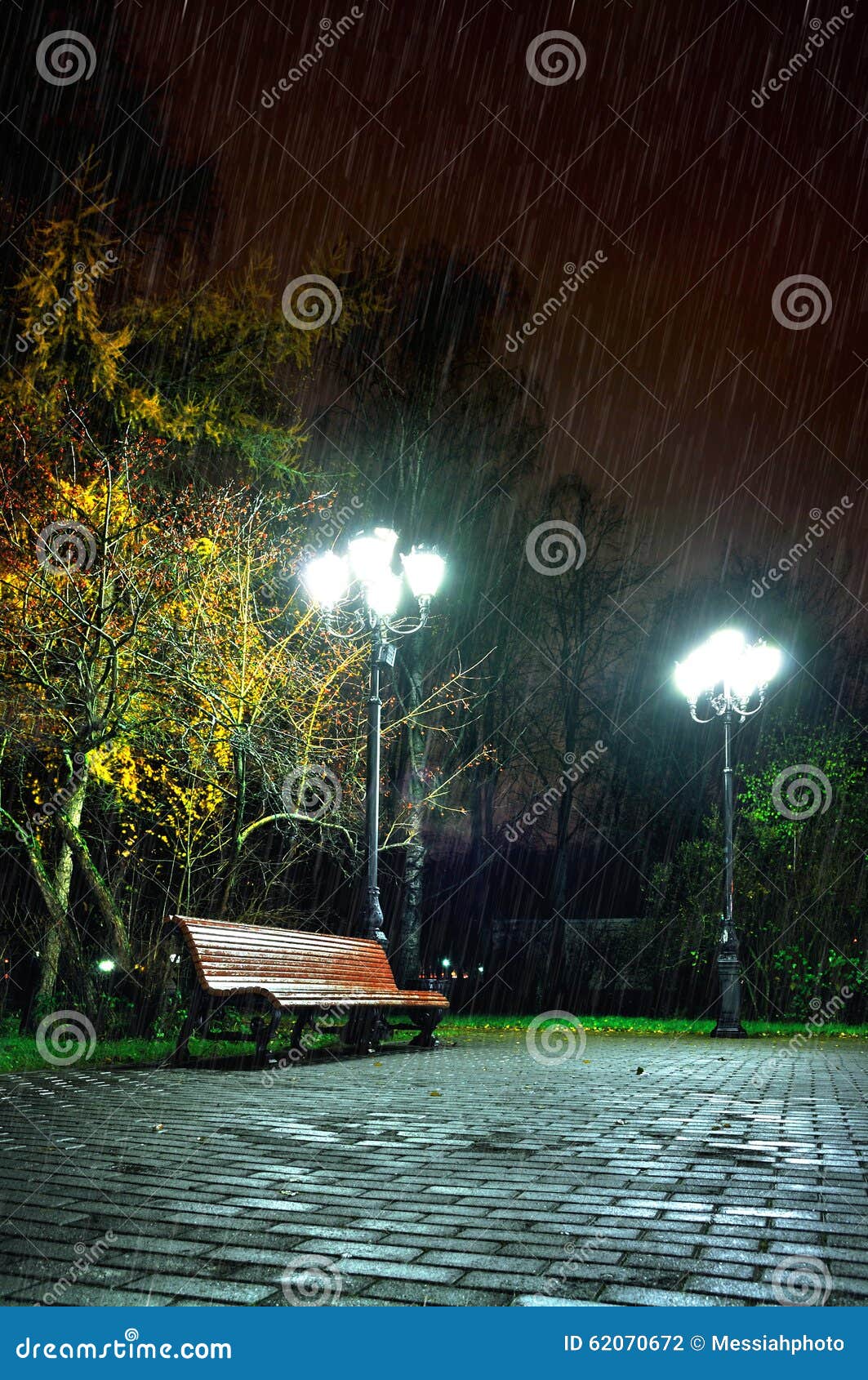 The Rainy Night in the Autumn Park Stock Photo - Image of horizontal ...