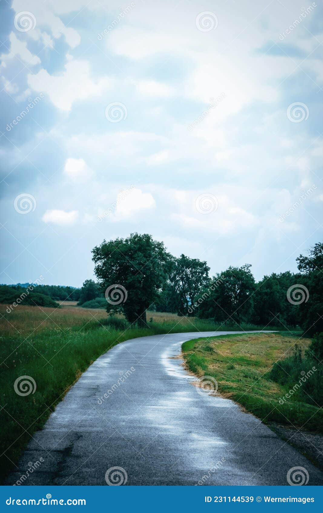 Rainy Path on the Countryside through Green Fields Stock Image - Image ...