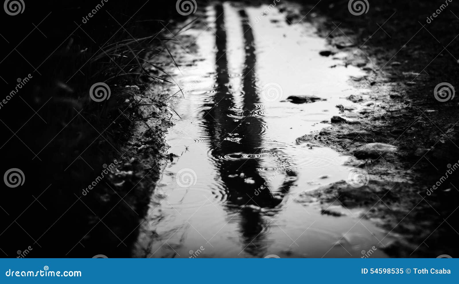 Rainy reflection stock image. Image of raindrop, pond - 54598535
