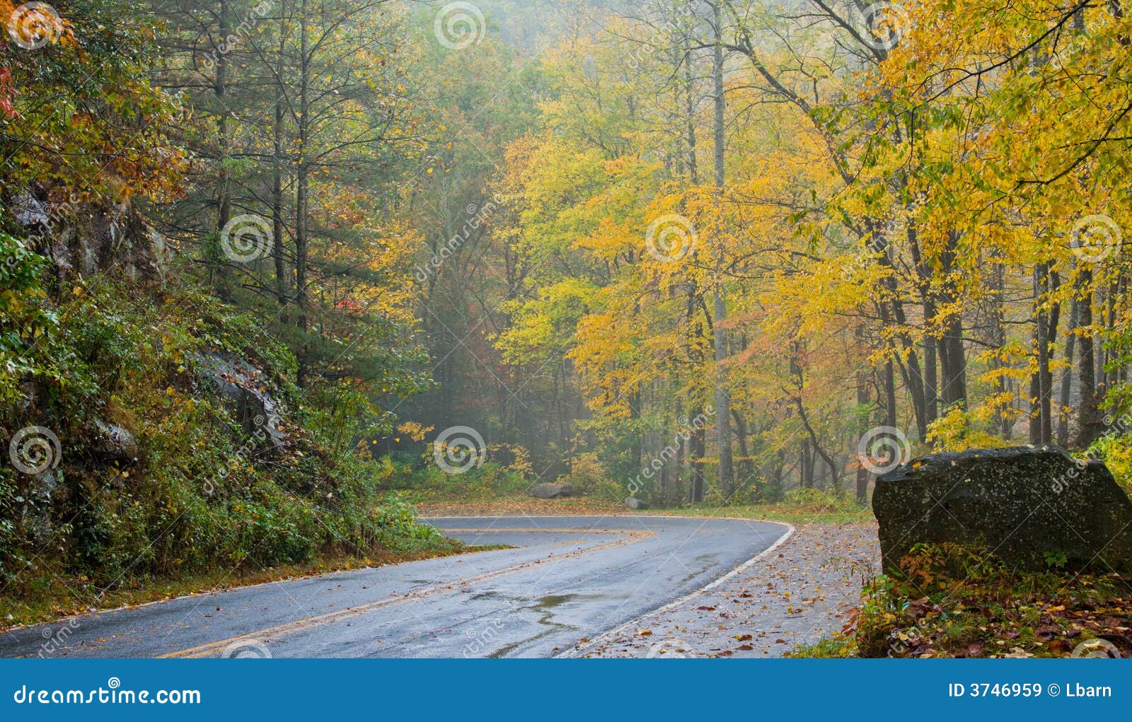 Rainy road in the fall stock image. Image of natural, outside - 3746959
