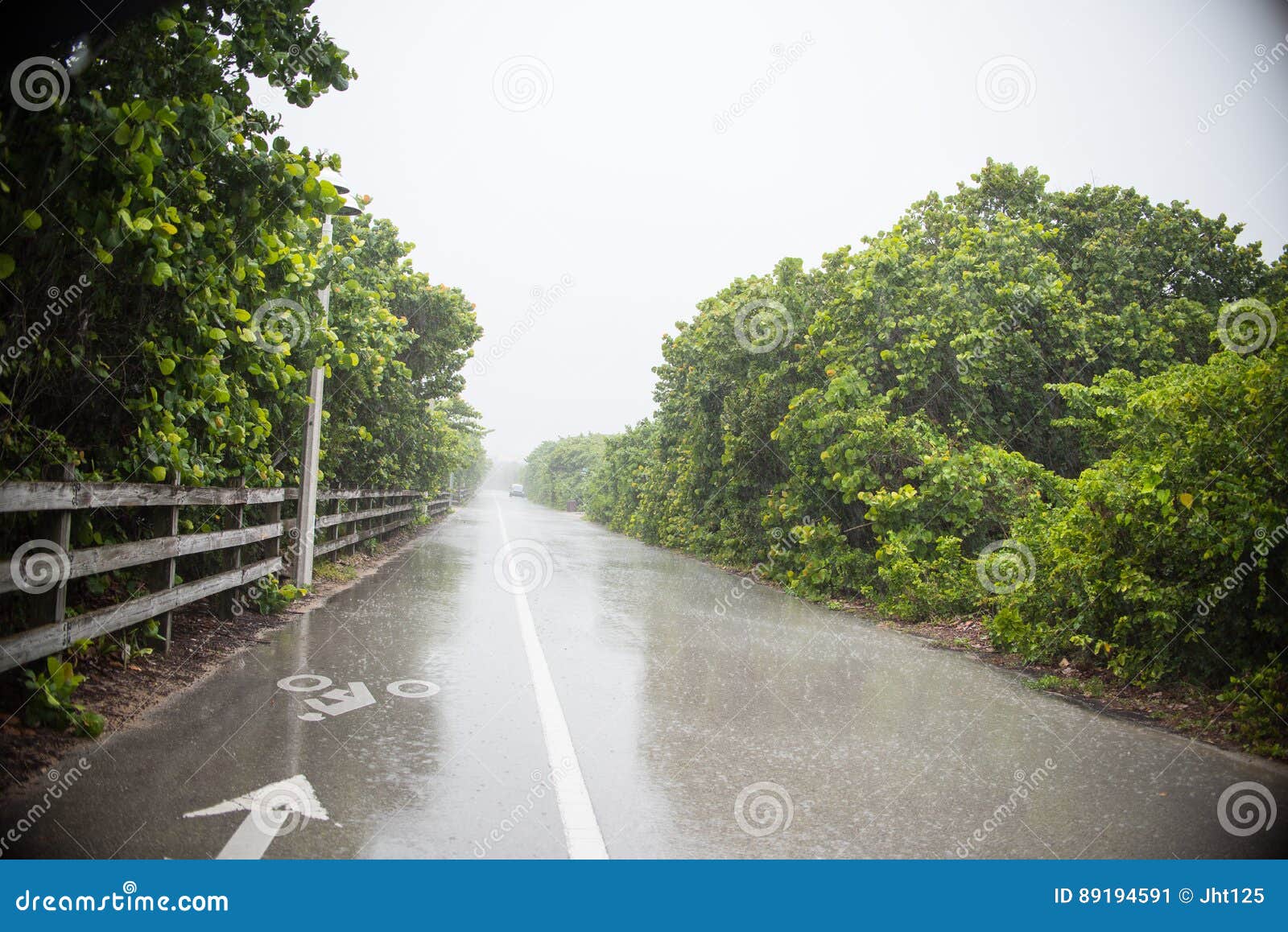 Rainy road stock image. Image of nature, drop, florida - 89194591