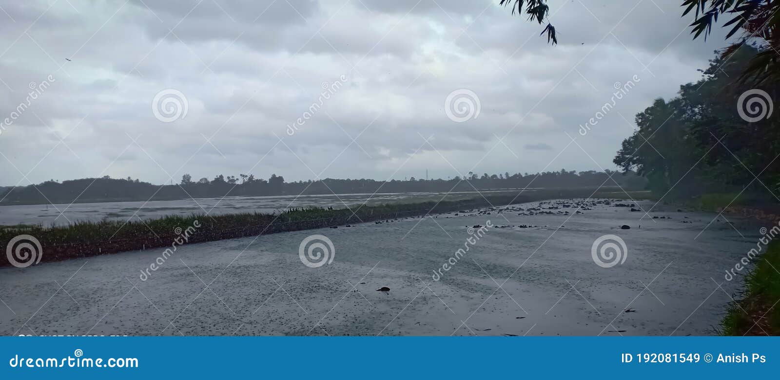 Rainy Season in Kerala a View from River Side Stock Image - Image of ...