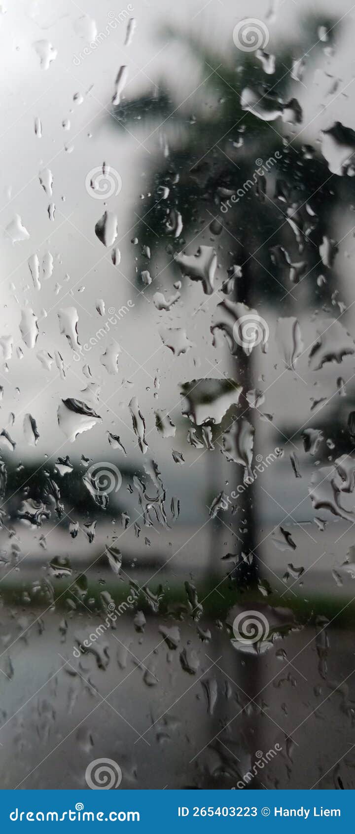 Rainy Season& X27;s Reflection Calmness in the Afternoon Stock Image ...