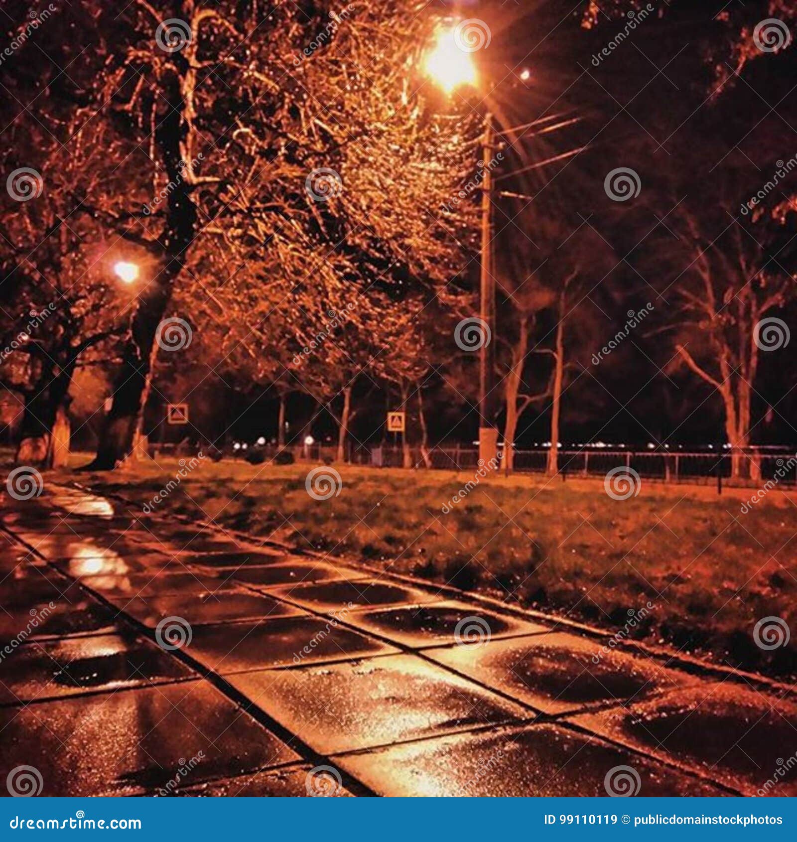 Rainy Streets Picture. Image: 99110119